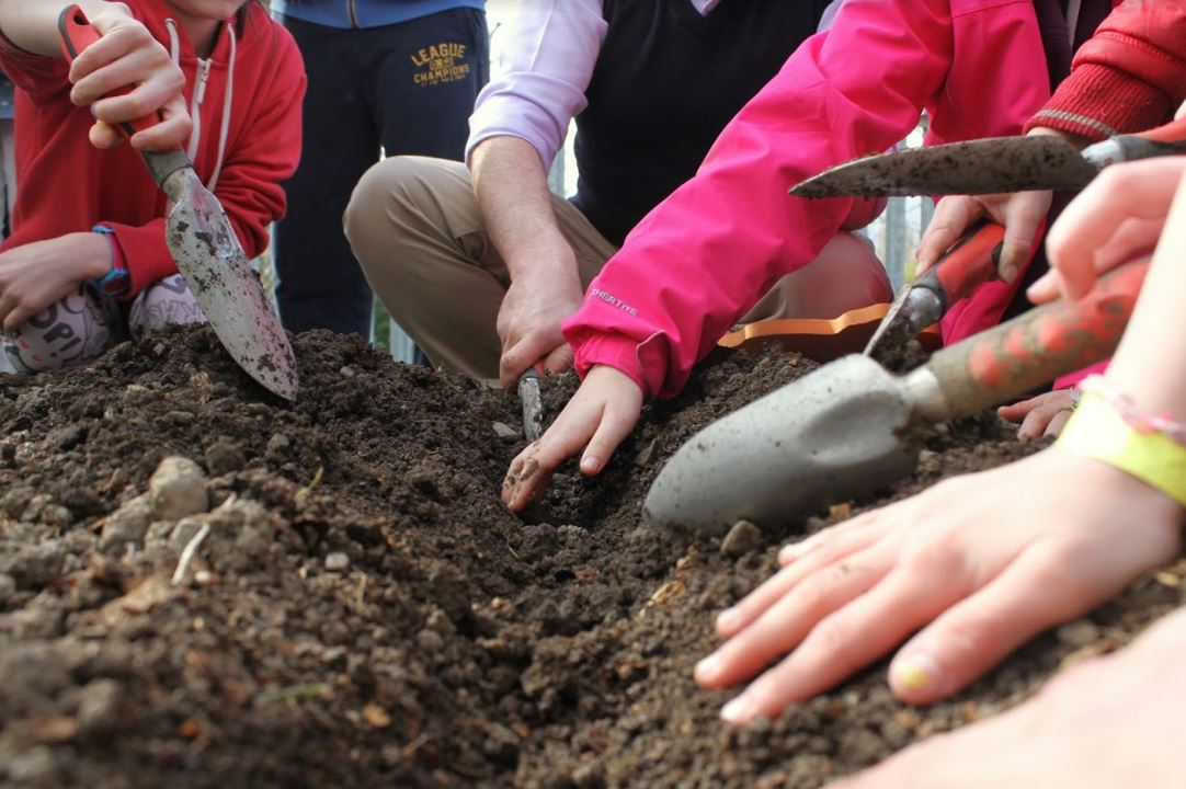 hands_trowels - Springdale National School