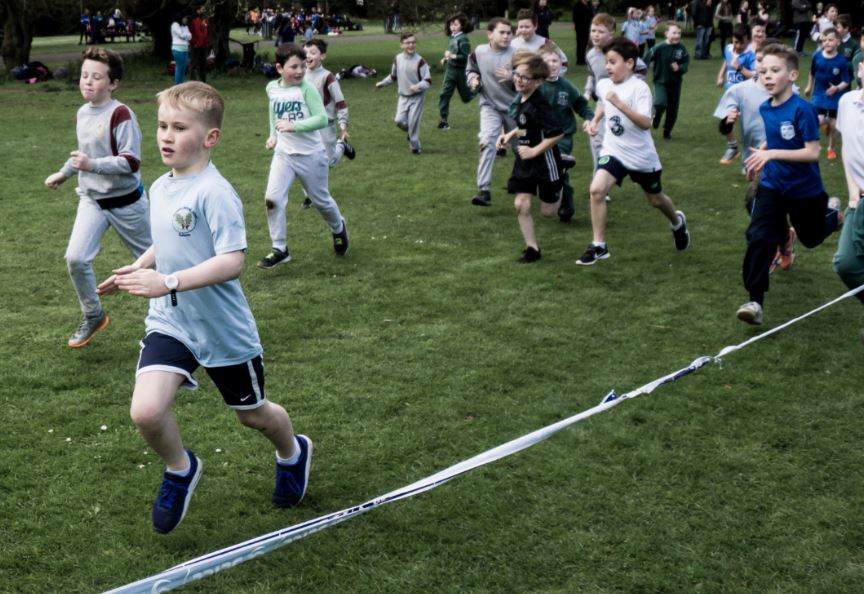 cc2 - Springdale National School