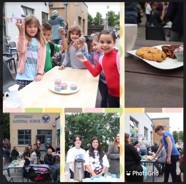 Well done 6th Class - Springdale National School