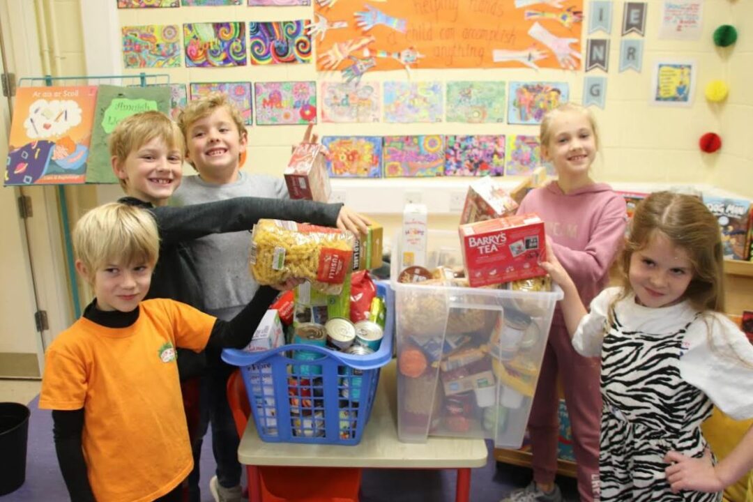 2nd Class Food Collection - Springdale National School