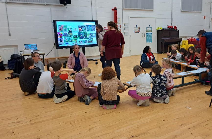 Santry River - Springdale National School