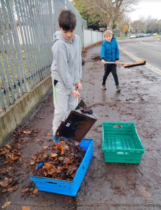 Operation Clean Up! - Springdale National School