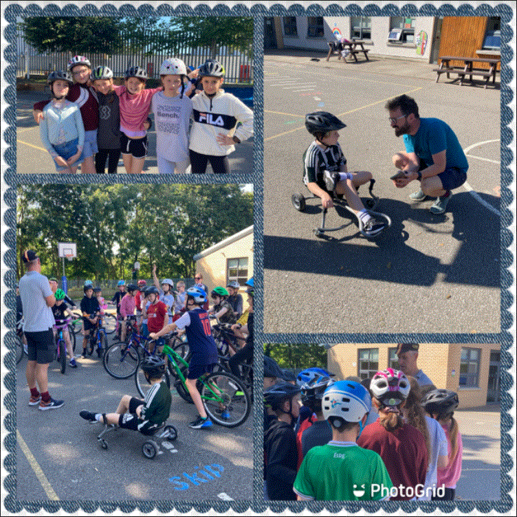 Welcome to Springdale National School - Springdale National School