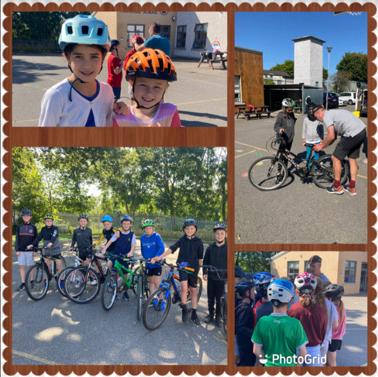 Cycle 2 - Springdale National School