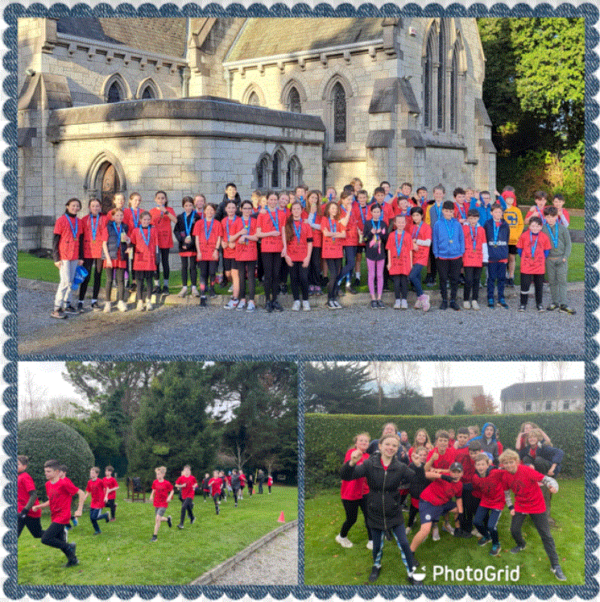 Welcome to Springdale National School - Springdale National School